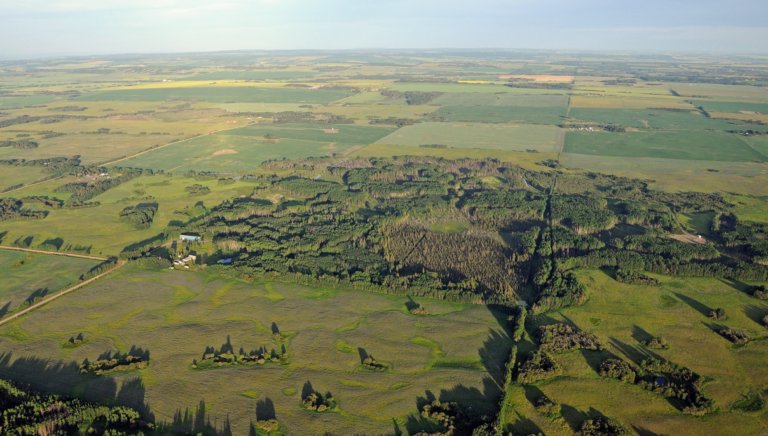 Agriculture programs – Ducks Unlimited Canada | Marginal Areas Program ...