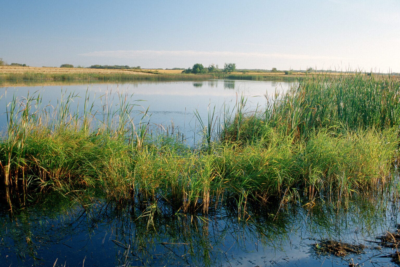 Agriculture programs – Ducks Unlimited Canada | Marginal Areas Program ...