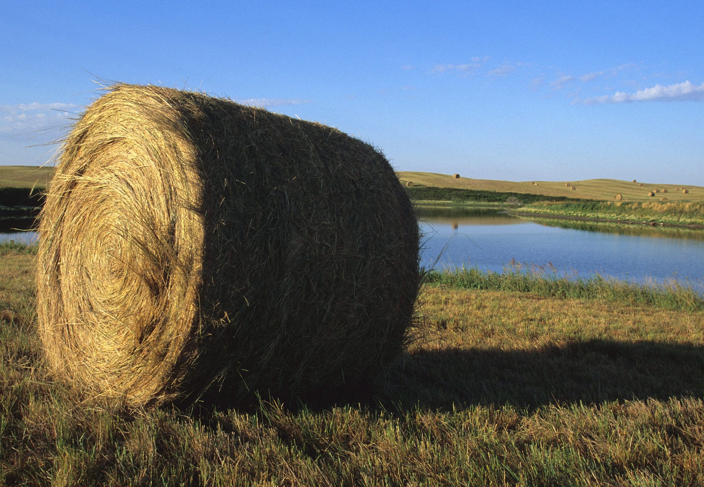 Agriculture programs – Ducks Unlimited Canada | Manitoba Hay Tenders ...