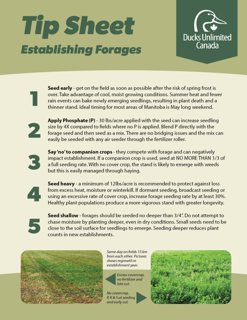 Agriculture programs – Ducks Unlimited Canada | Grow more forage ...